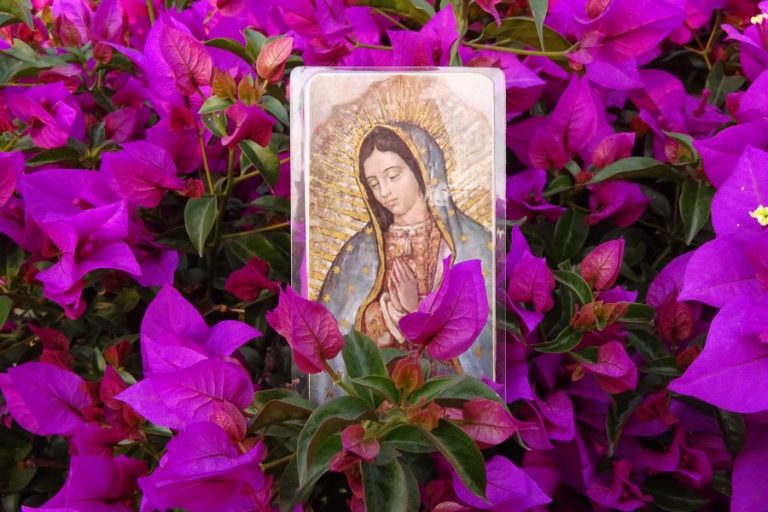 Devoção a Nossa Senhora de Guadalupe, conheça essa história Devoção a Nossa Senhora de Guadalupe, conheça essa história